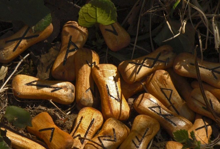 Roman français-anglais : La malédiction du welsh red dragon