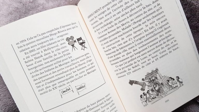 Roman : Juliette à Mexico - Un livre dans ma valise